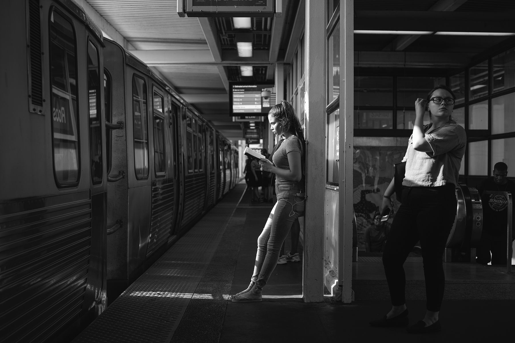 Alyssa Schukar Sees Chicago's Mass Transit