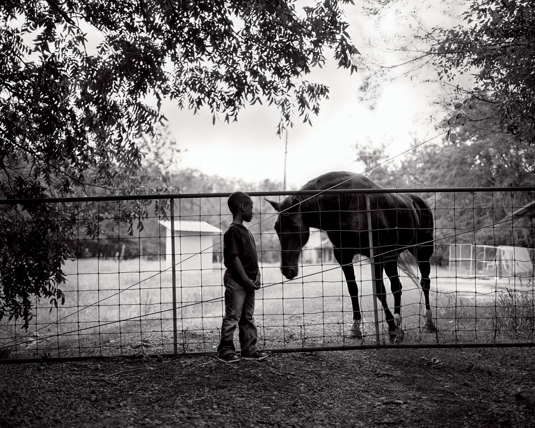 Mississippi Innocence Project