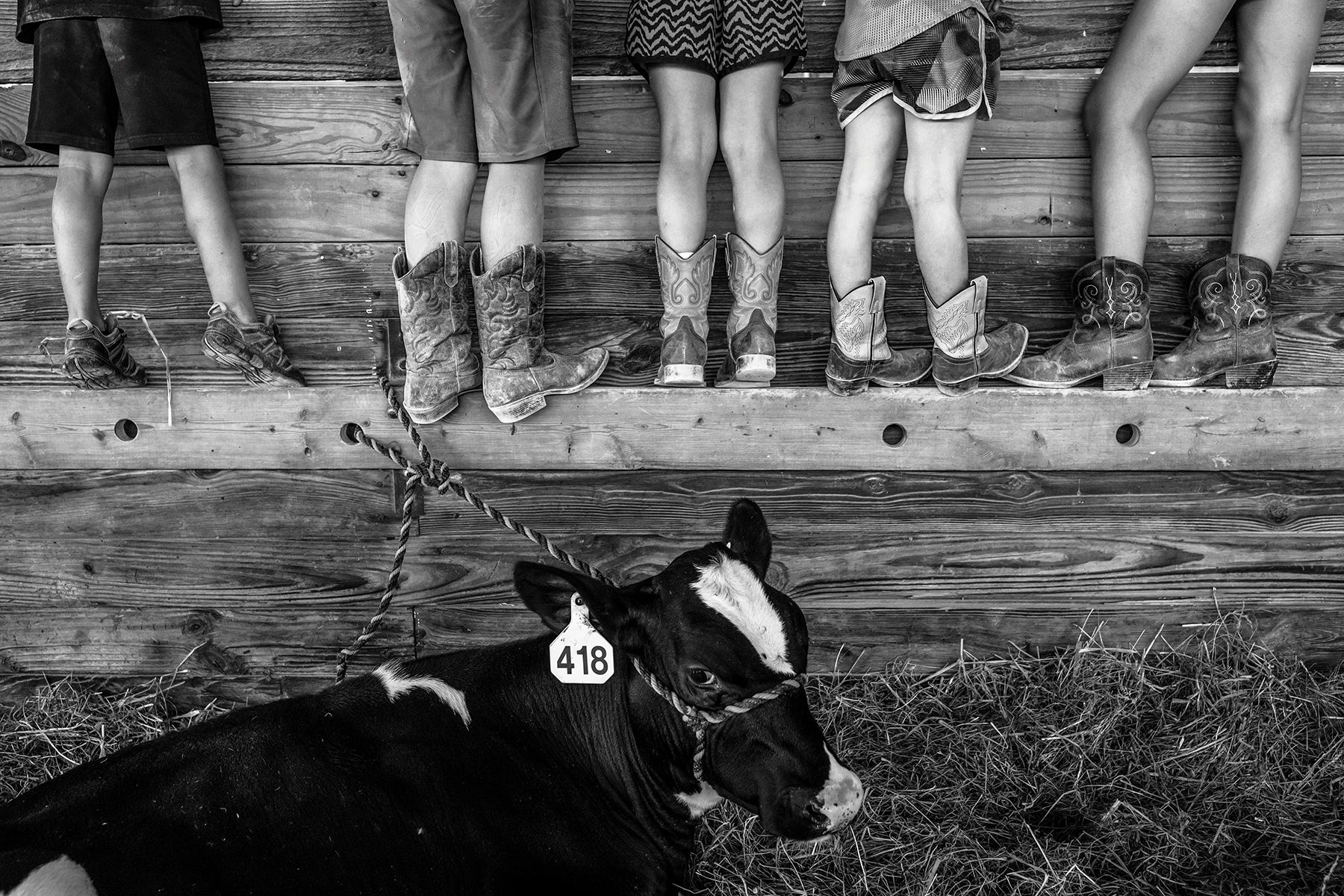 Indian Wooden Zula In Austin Texas