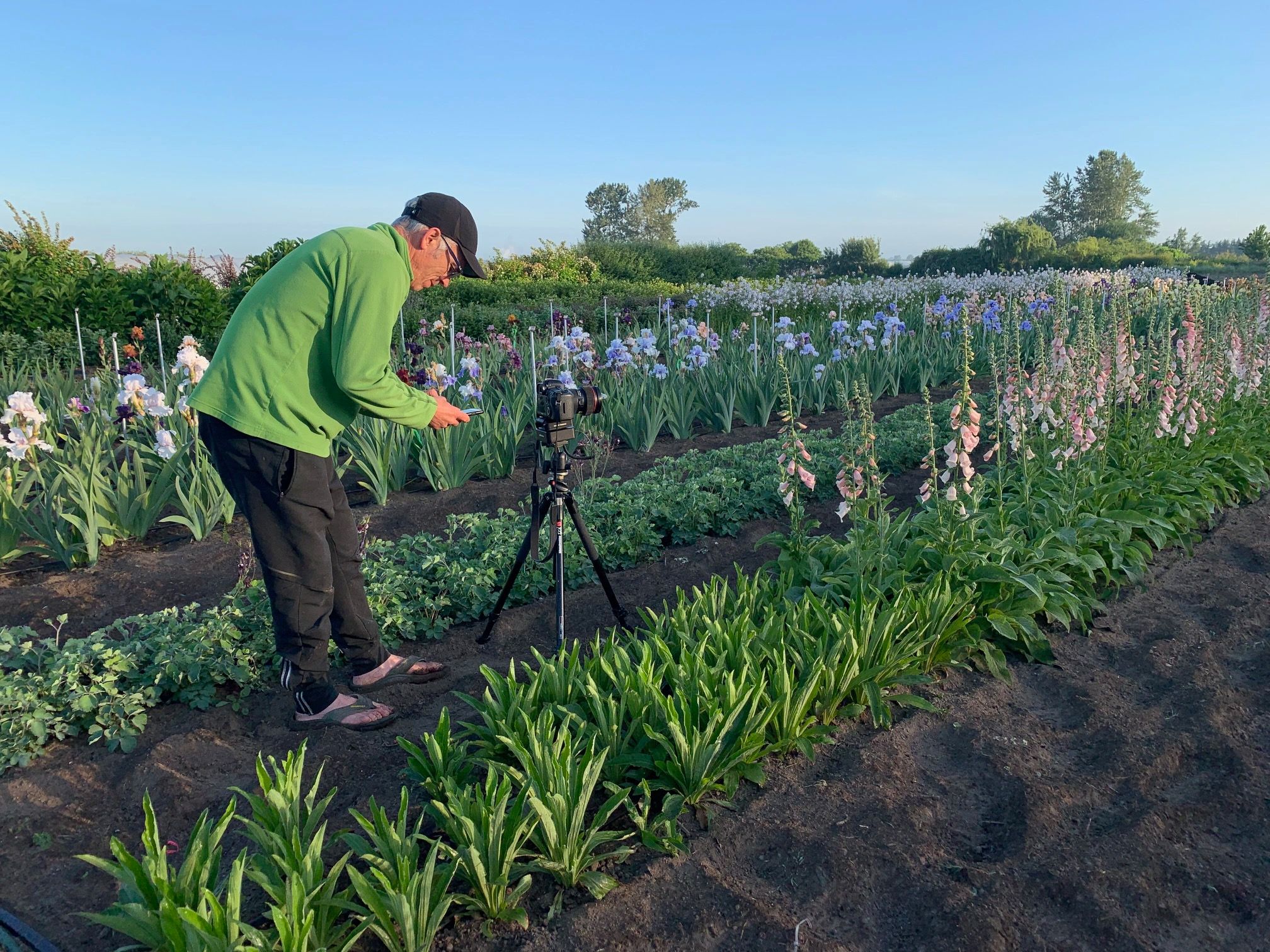 An interview with cinematographer Jamie Francis