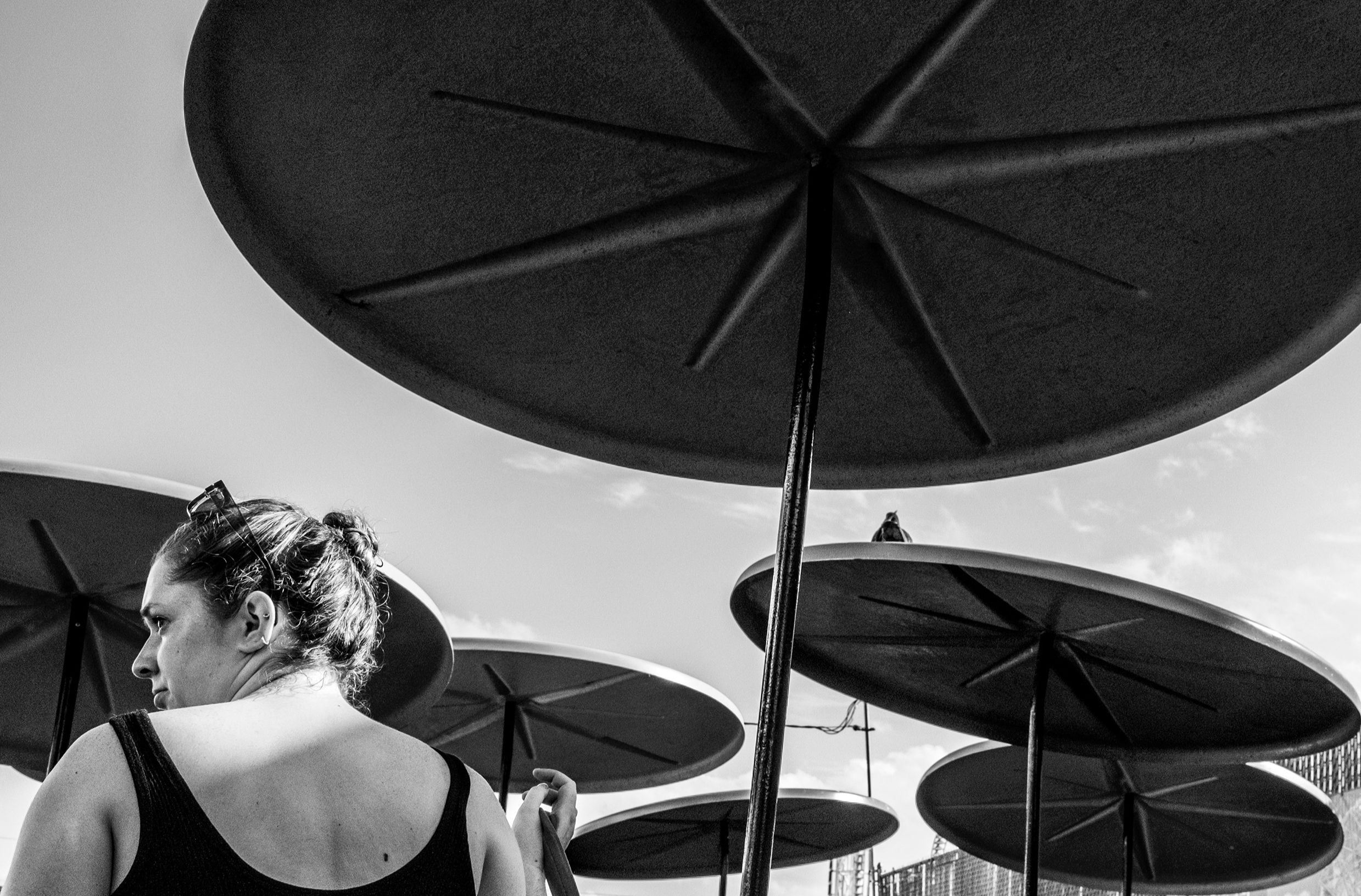 Perspectives: NPPA Member Spotlight: Syndi Pilar